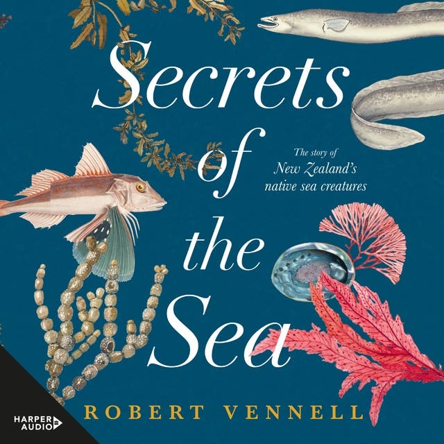 Secrets of the Sea: The story of New Zealand's native sea creatures ...
