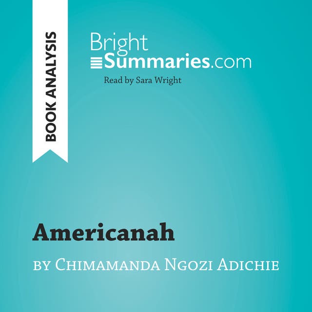 Americanah by Chimamanda Ngozi Adichie (Book Analysis): Detailed ...