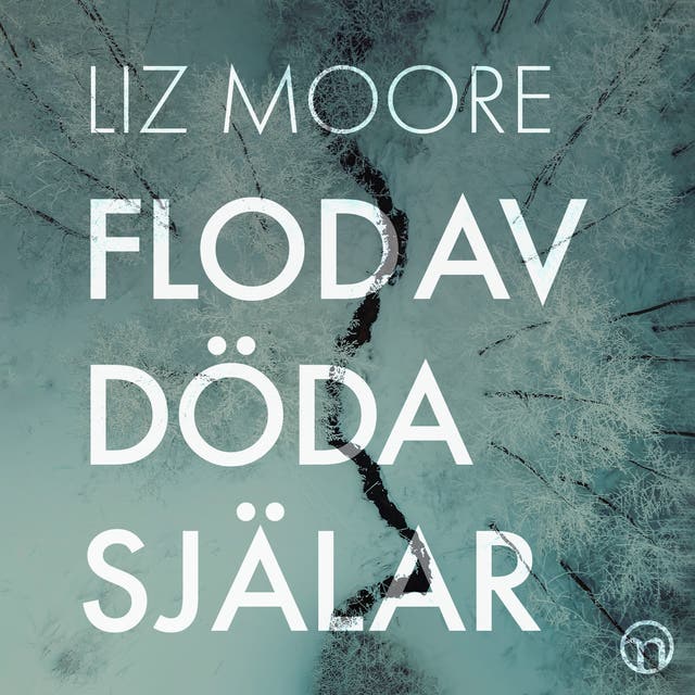 Flod av döda själar - E-bok & Ljudbok - Liz Moore - ISBN 9789180239264 & 9789180635578 - Storytel